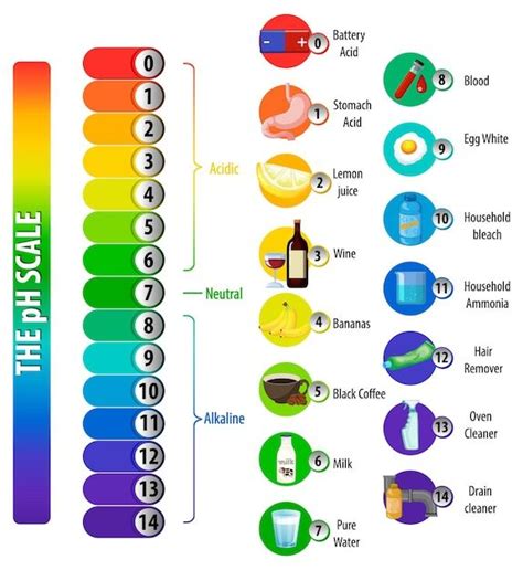 A Science Of Ph Scale Free Vector Science Projects Laboratory