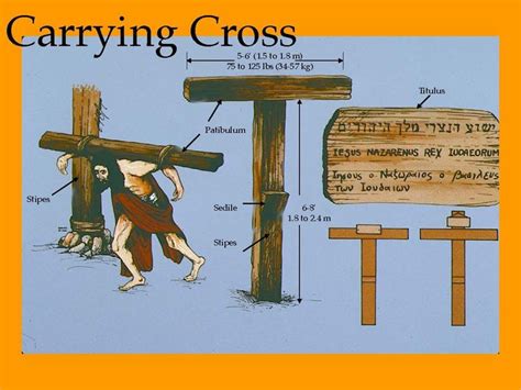 What Are The Parts Of A Cross At Heather Meyers Blog