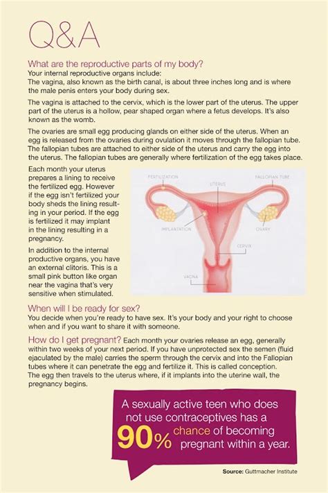 Arra Sex Ed Brochure Alabama Reproductive Rights Advocates