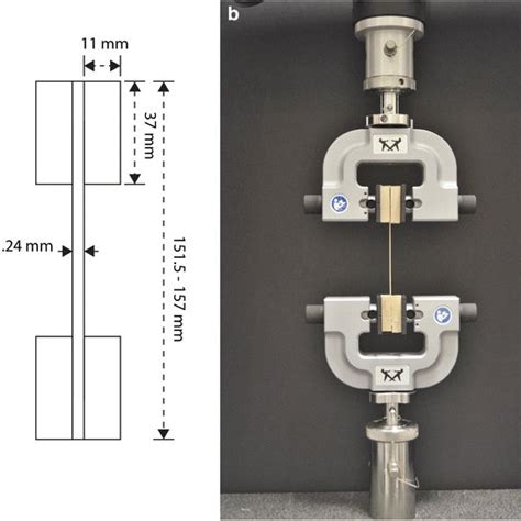 Tensile Testing Setup A Schematic Diagram Depicting Geometric Features Download Scientific