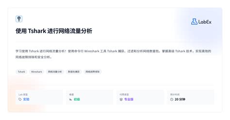 使用 Tshark 进行网络流量分析 Labex