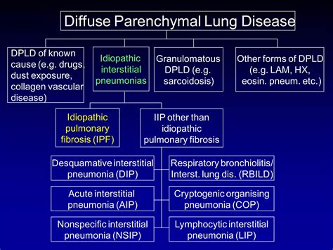 Diffuse Parenchymal Lung Diseases Postgraduate Course Pdf Lung