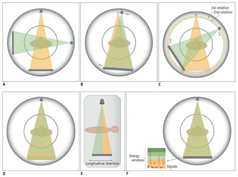 Tracking Exosomes By Computed Tomography Creative Biostructure