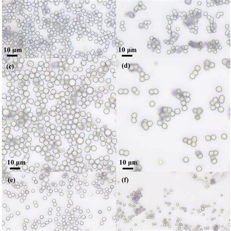 Optical Microscope Photos Of Different Types Of Psms A Psm 1 B Psm 2 Download Scientific