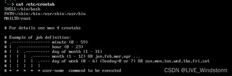 linux 设置在某个时间执行某个任务（crontab 命令） crontab 指定日期执行一次 csdn博客