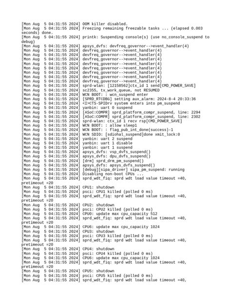 Standby Kernel Log 2024 0805 043410 Pdf