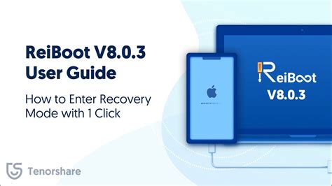 Tenorshare ReiBoot Pro 9 5 3 1 With Crack