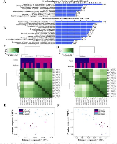 Figure 1 From Transgenerational Analysis Of H3K4me3 And H3K27me3 By