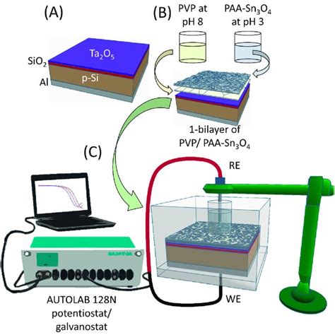 A Scheme Of The Bare Eis Device With P Si Sio2 Ta2o5 Structure B Download Scientific