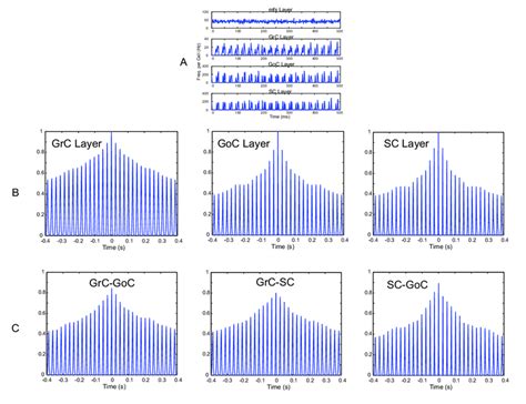 14 Synchronous Activity Oscillation During Continuous Stimulationa