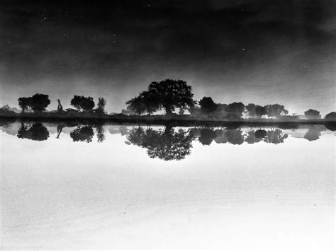 Lakshay Soni Photography