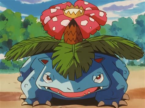 Battle Park Owners Venusaur Pokémon Wiki Fandom Powered By Wikia