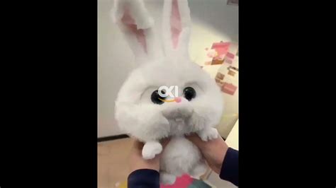 💥 Oki Ge 👉 სათამაშო კურდღელი Youtube