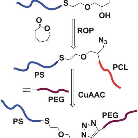 Sequential Cuaac And Diels Alder Click Reaction Strategy For The