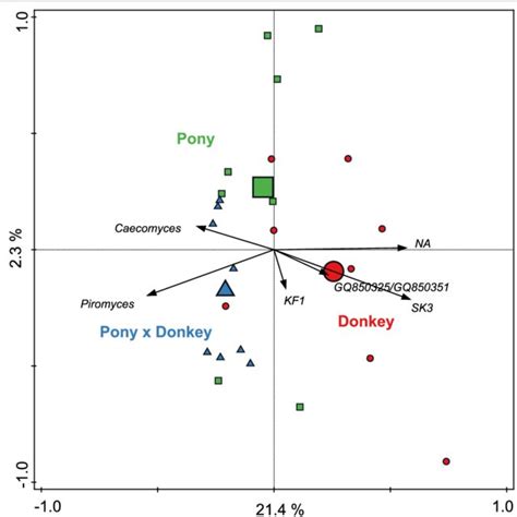 Redundancy Analysis Triplot Showing The Relationship Between The