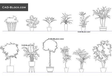 Indoor Plants CAD Blocks In DWG