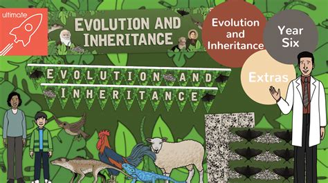 Teacher S Pet Year 6 Evolution And Inheritance Display Pack