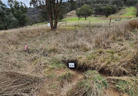 Reflections Wee Jasper Wee Jasper Nsw