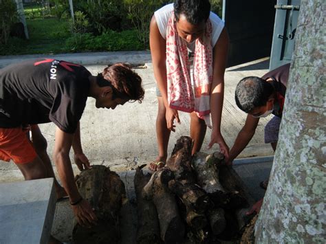 Indigent Support Academy Of World Healing Blog