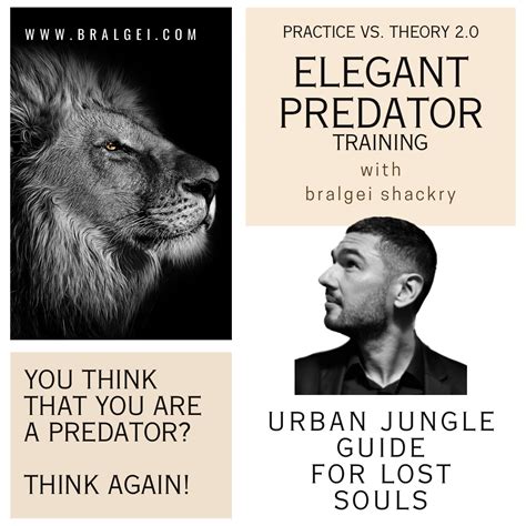 Private Practice Vs Theory 2 0 The Elegant Predator