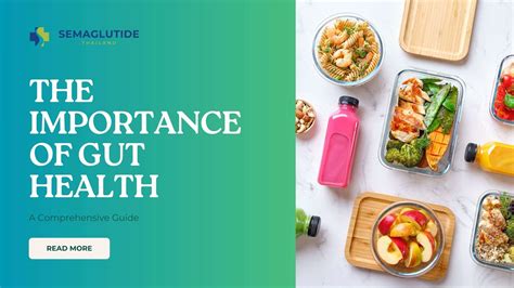 The Importance Of Gut Health Comprehensive Guide