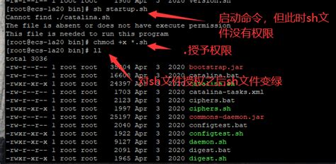 Linux搭建java项目运行环境 服务器 嘉 澍 博客园