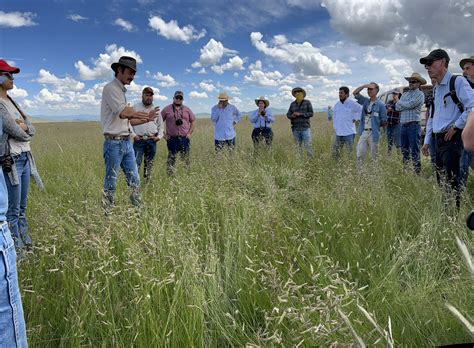 Join Grasslands Conservation Today