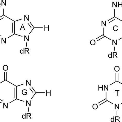 Examples Of Common Mutagenic And Genotoxic Chemicals Their Sources In
