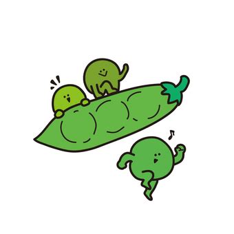 そら豆イラスト｜無料イラスト・フリー素材なら「イラストac」