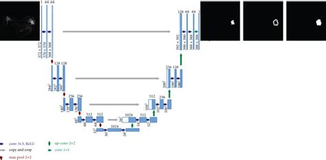 Cnn Network Structure Diagram Download Scientific Diagram