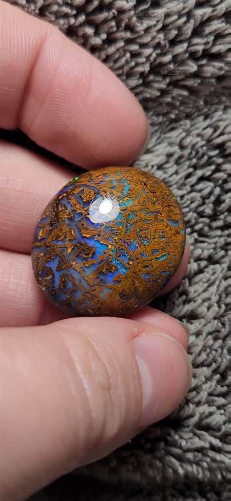 Opalized Dino Bone R Opals