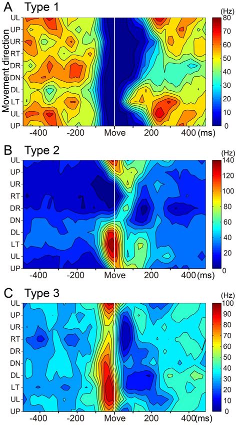 Spatiotemporal Maps Of Neuron Activity Of Type 1 A Type 2 B And