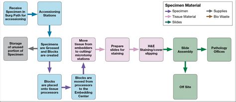 Specimen Collection Workflow At Kelli Cole Blog