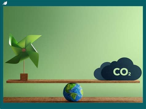 Whats The Difference Between Conservation And Preservation