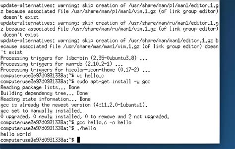 C Programming Using Claudes New Computer Use Model Towards Data Science