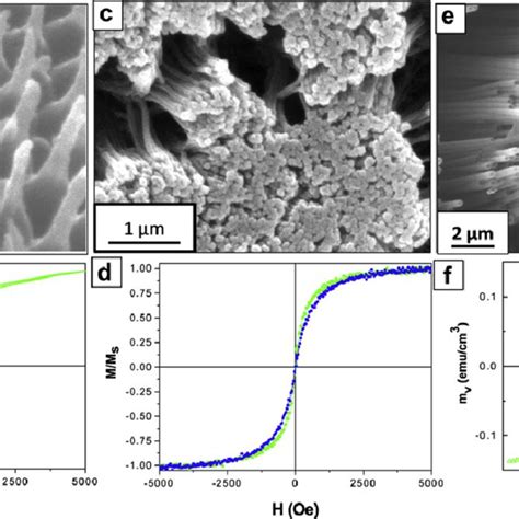 Sem Micrograph Of Polymer Based Solid One Dimensional Nanostructures Download Scientific