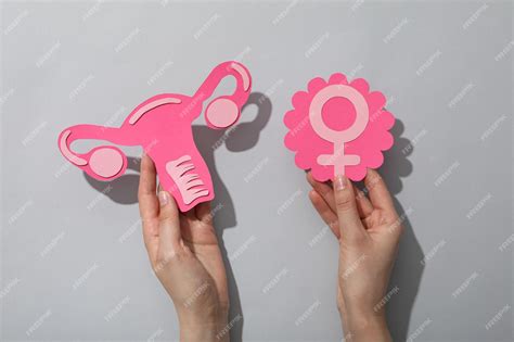 Premium Photo The Concept Of Fertilization The Period Of Ovulation