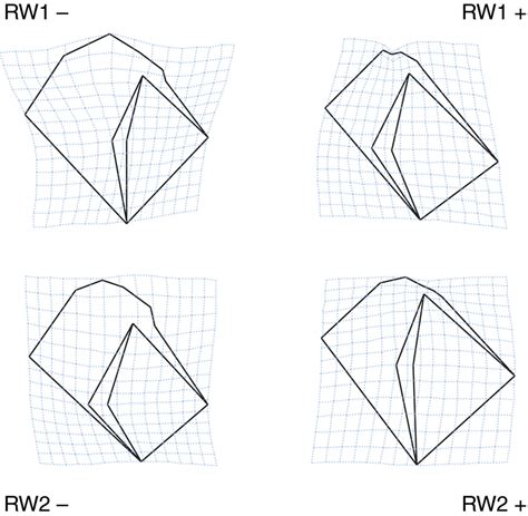 Deformation Grids For Relative Warp 1 Rw1 And Relative Warp 2 Rw2 Download Scientific