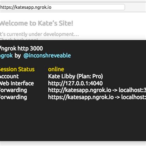 Ngrok Reviews Features And Download Links Alternativeto