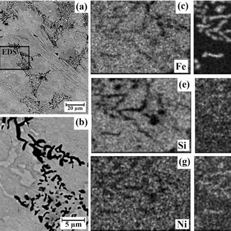 Microstructure Of Alloy 1 Analyzed By A And B Sem And C H Eds
