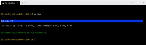 how to execute command on a custom group of servers