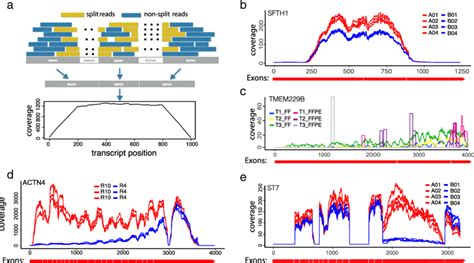 Rna Seq Read Coverage Score Shows Between Sample Heterogeneity In The