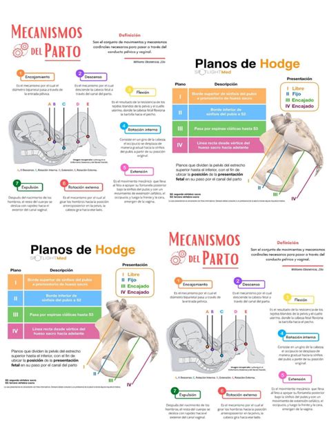 Mecanismo De Parto Pdf