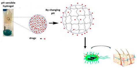 Peptide Based Hydrogels New Materials For Biosensing And Biomedical Applications Pmc