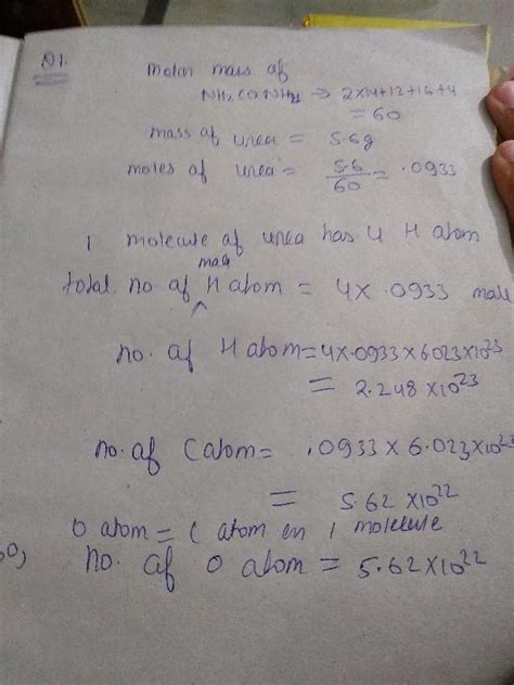 Sius 0 Calculate The Number Of Atoms Hydrogen Present In 5 6 G Of Uren