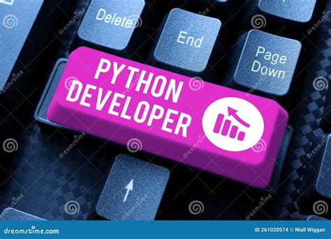 Text Showing Inspiration Python Developer Word For Responsible For