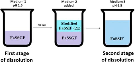 Schematic Of The Two Stage Dissolution Experiments Download Scientific Diagram