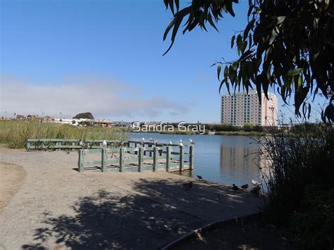 Any Given Thursday Seaside Ca Roberts Lake By Sandra Gray Redbubble