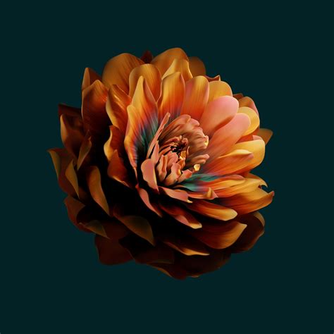 Huawei Mate X Stock Wallpaper