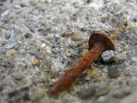 Tetanus Related Shenanigans Home